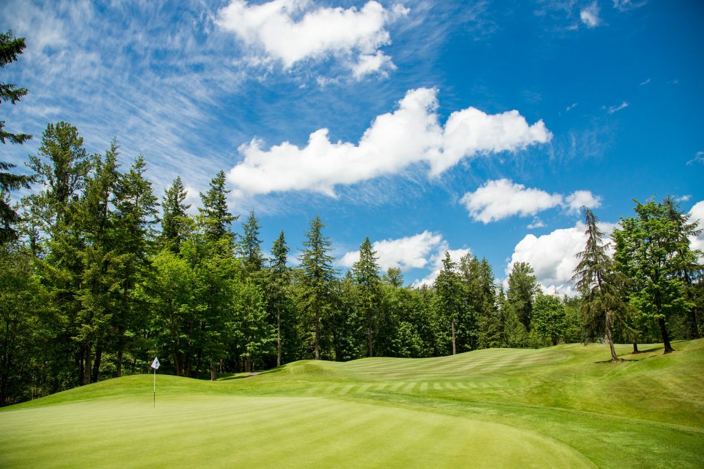 Players Cards - Oki Golf